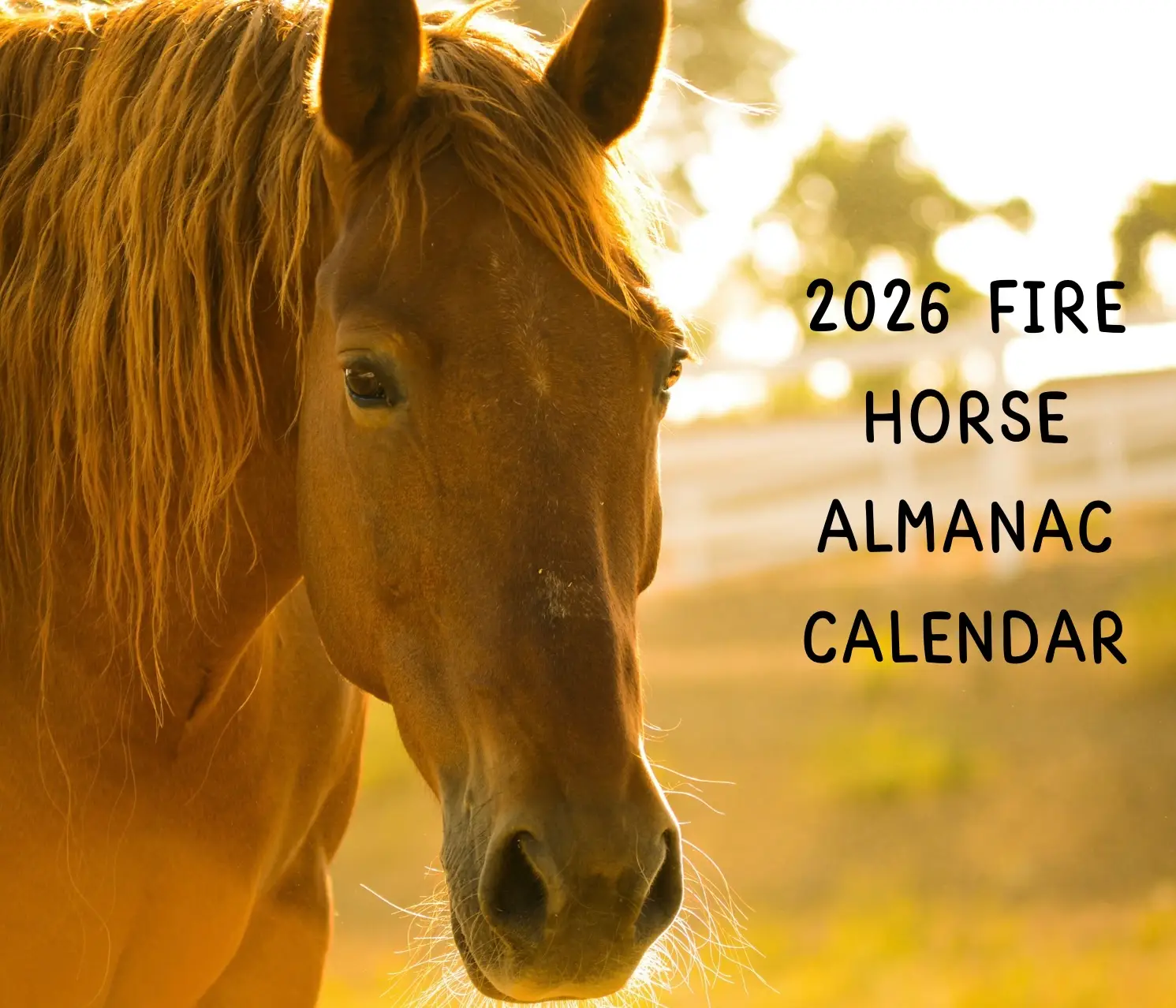 2026 Fire Horse Almanac Calendar - Public Speaker